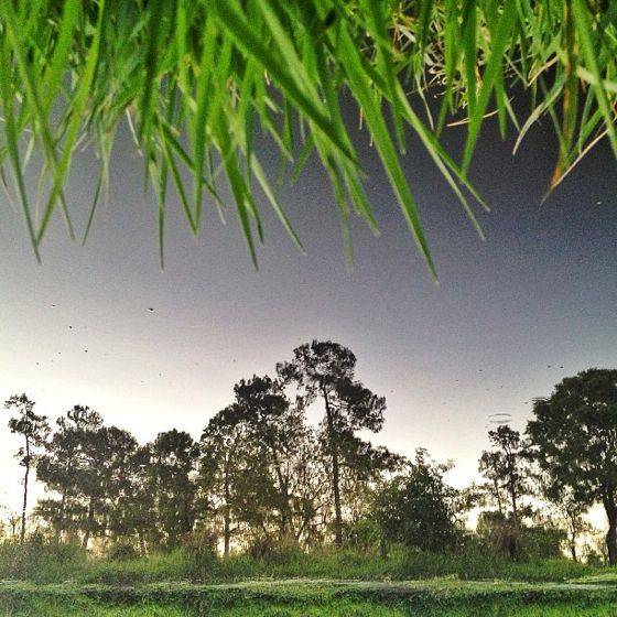 iPhone Photo Contest Winners IX