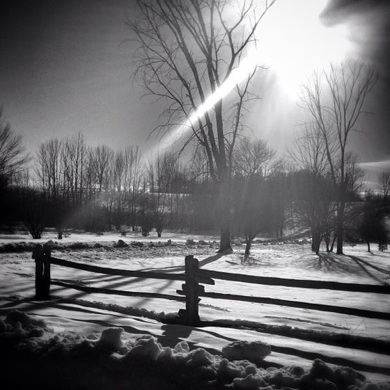 iPhone Photography Competition Winners VII