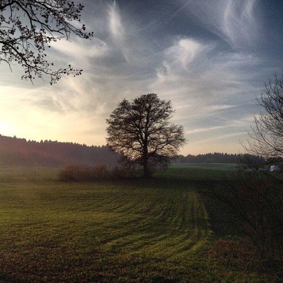 iPhone Photo Competition Winners X