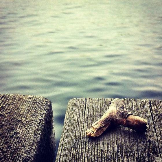 iPhone Photography Competition Winners VII