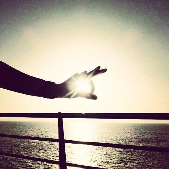 iPhone Photo Competition Winners X