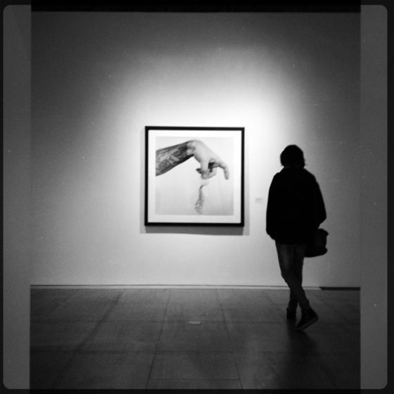 iPhone Photo Contest Winners IX