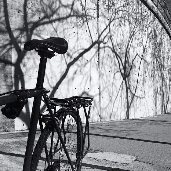 iPhone Photo Contest Winners IX