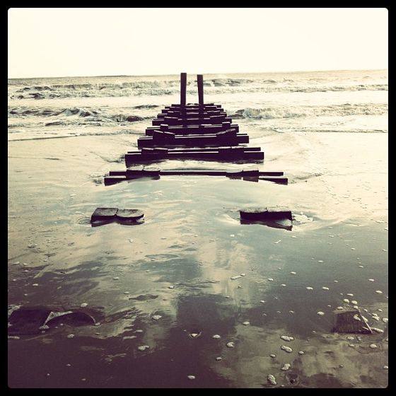 iPhone Photography Contest Winners VIII