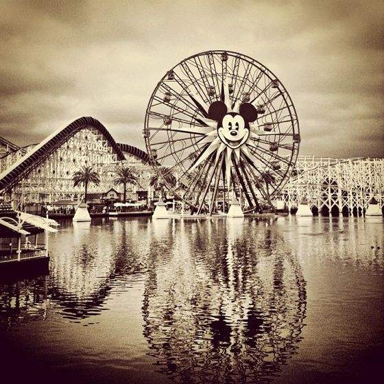 12 Examples of Using Reflections in iPhone Photography