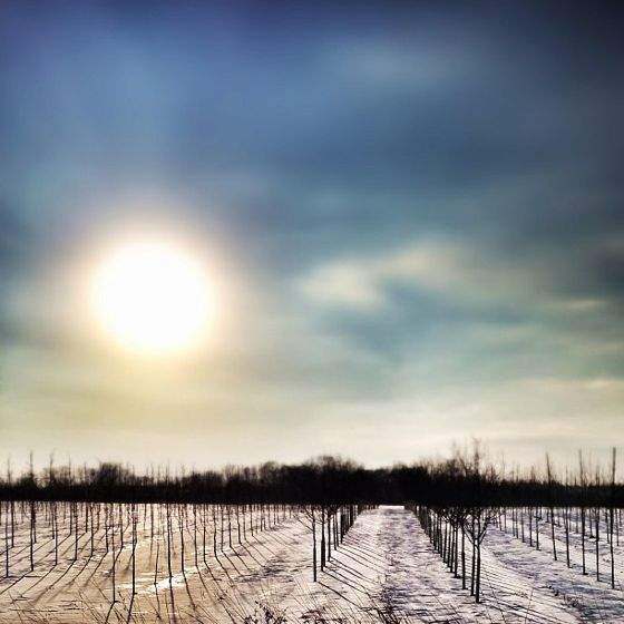 12 Incredible Examples of iPhone Sunset Photography