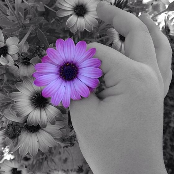12 Great iPhone Photos Created With ColorSplash App
