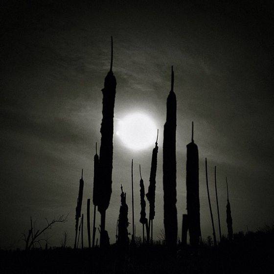 How @igasms Takes Great Photos With iPhone