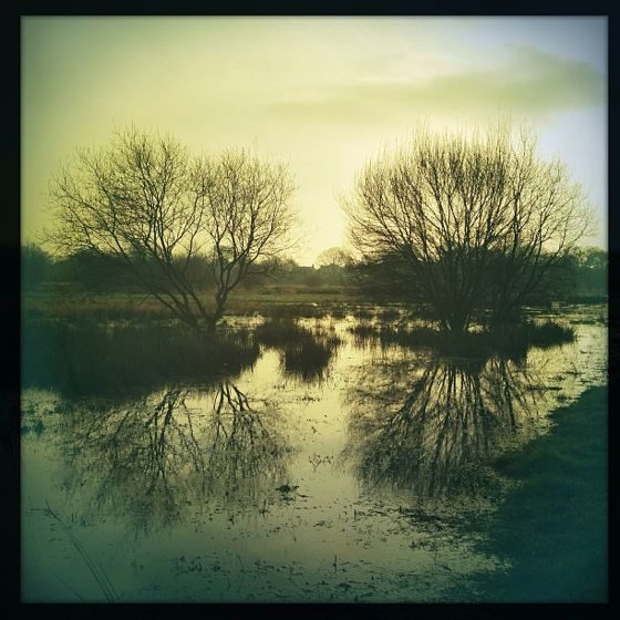 12 Examples of Using Reflections in iPhone Photography