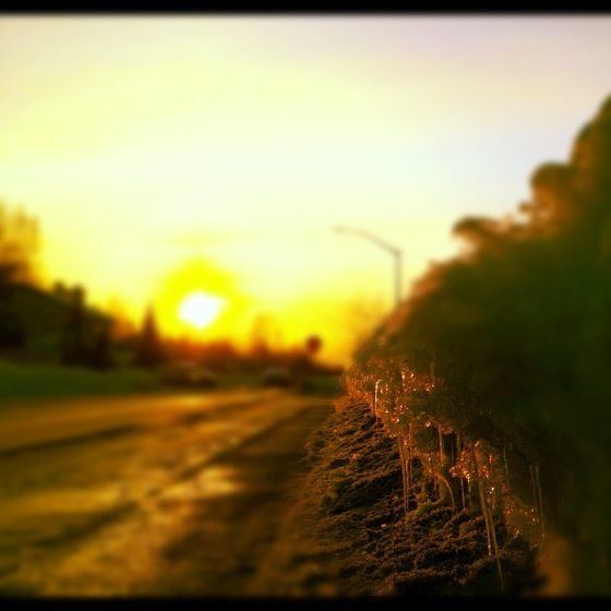 12 Incredible Examples of iPhone Sunset Photography