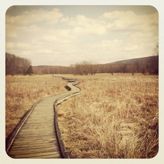 12 Excellent iPhone Landscape Photos