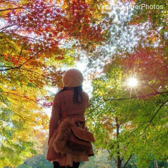 30 Incredible iPhone Photos of Trees and Forest