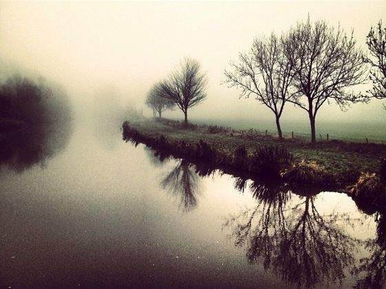 30 Incredible iPhone Photos of Trees and Forest