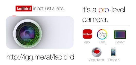 What You Should Know About Ladibird iPhone Camera