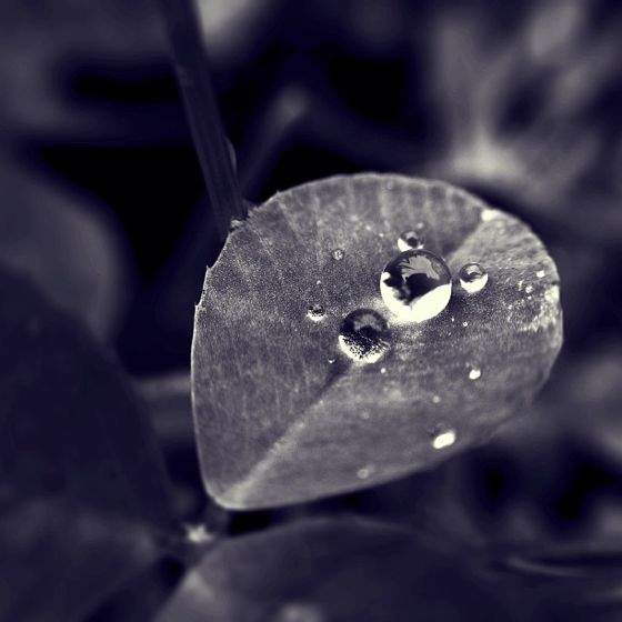 30 Great Examples of Monochromatic iPhone Photography