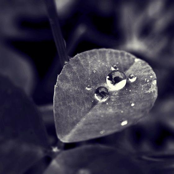 30 Great Examples of Monochromatic iPhone Photography