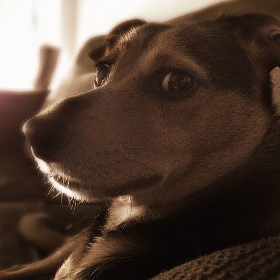 30 Great Examples of Monochromatic iPhone Photography