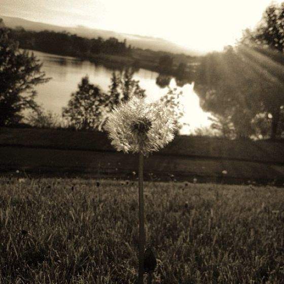 30 Great Examples of Monochromatic iPhone Photography