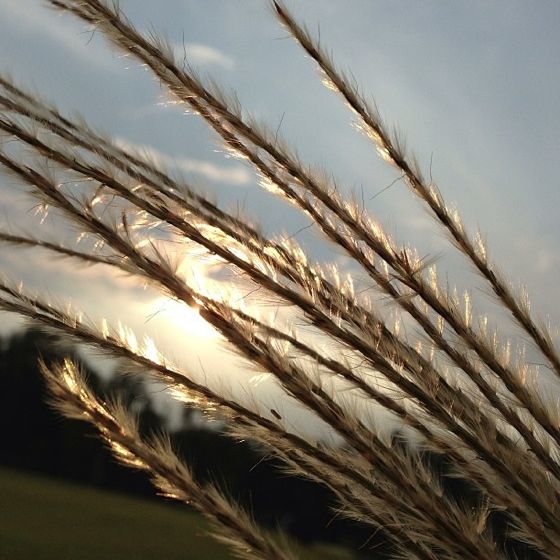 30 Stunning iPhone Photos of Sun