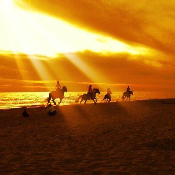 30 Incredible iPhone Photos of Movement