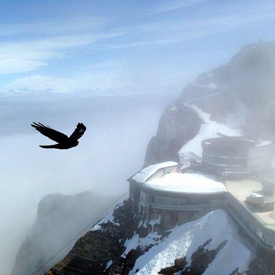 30 Incredible iPhone Photos of Movement