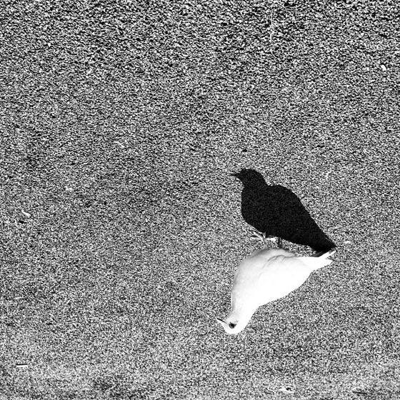 30 Great iPhone Photos Showing the Power of Simplicity