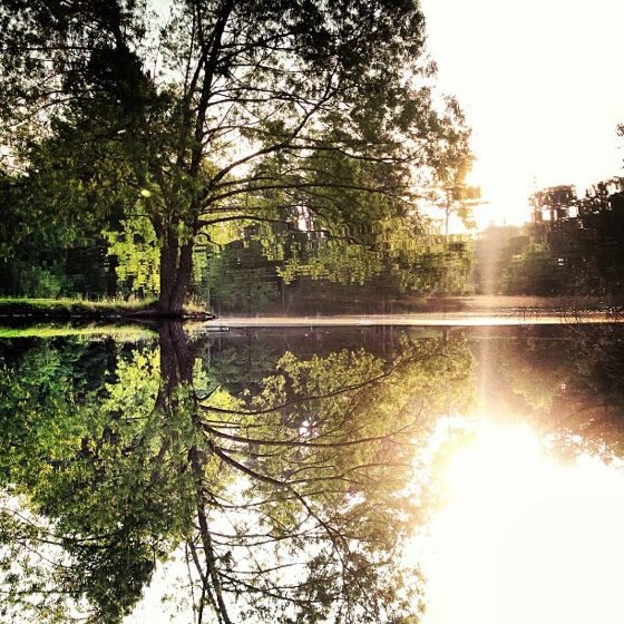 30 Amazing iPhone Photos of Nature and Landscapes