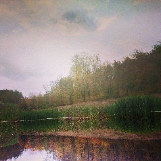 30 Extraordinary iPhone Photos of The Different Seasons