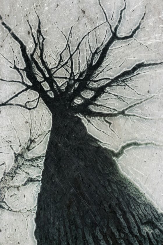 How Kristen Radden Started Creative iPhoneography Community