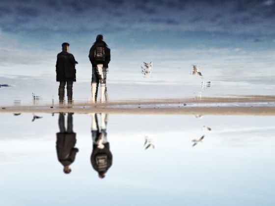 The Complete Guide To Tadaa iPhone Photo Editing App
