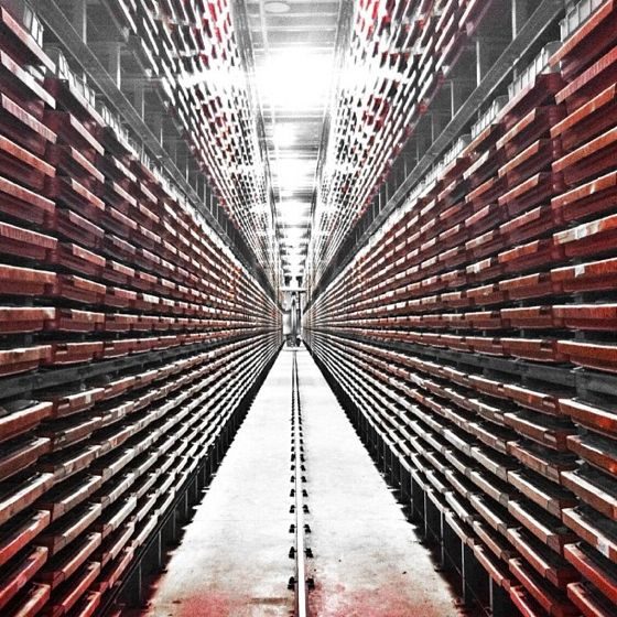 30 Great Examples of Using Red in iPhone Photography