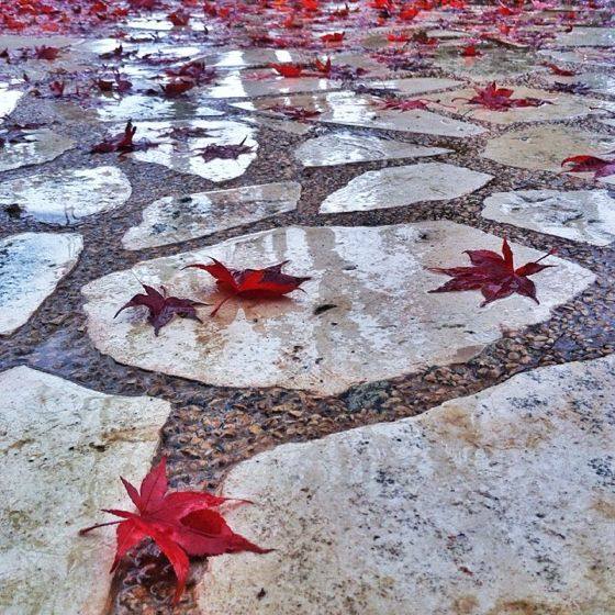 30 Great Examples of Using Red in iPhone Photography