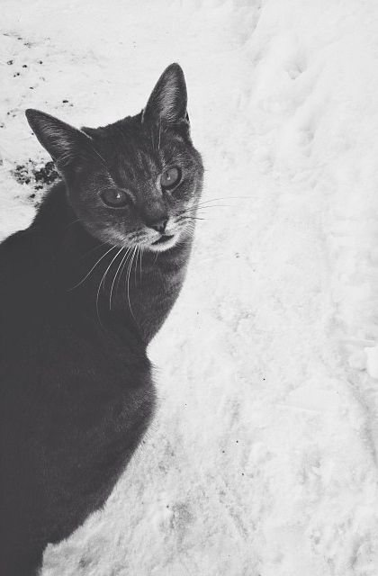 30 Ice-Cold Examples of iPhone Winter Photography