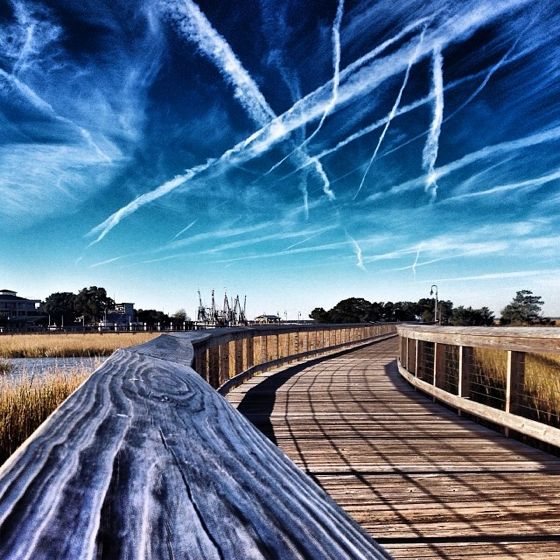 30 Great Examples of Using Lines in iPhone Photography