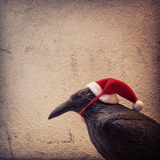 30 Ice-Cold Examples of iPhone Winter Photography