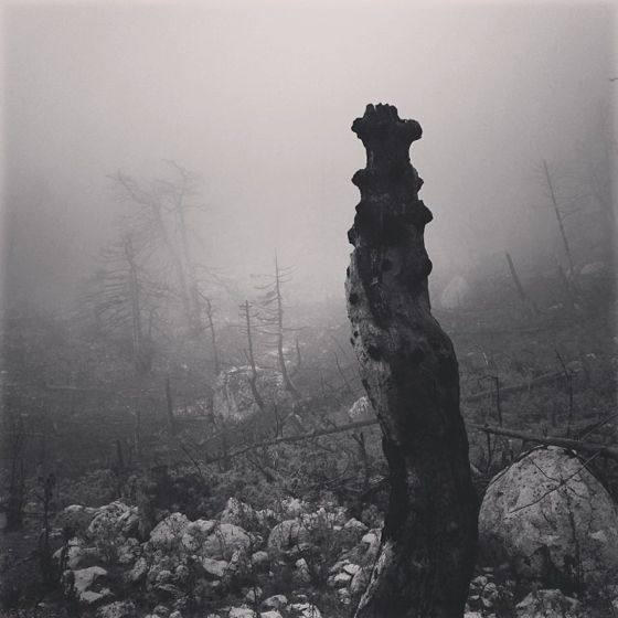 30 Ice-Cold Examples of iPhone Winter Photography