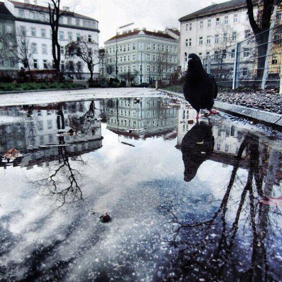 30 Ice-Cold Examples of iPhone Winter Photography