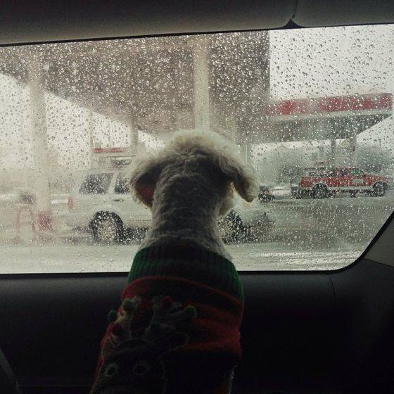 30 Ice-Cold Examples of iPhone Winter Photography