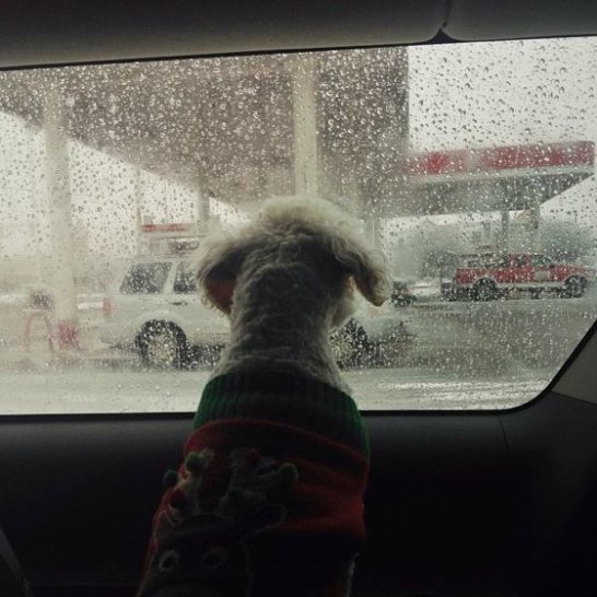 30 Ice-Cold Examples of iPhone Winter Photography