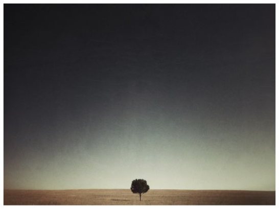How Justin Balog Uses His iPhone To Take Great Photos