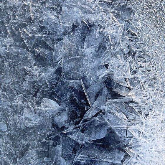 30 Ice-Cold Examples of iPhone Winter Photography