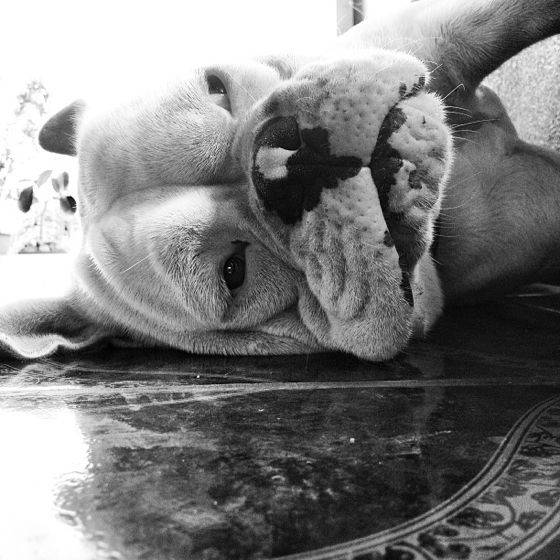 30 Stunning iPhone Photos That Show Contrast