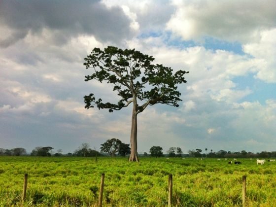 How Justin Balog Uses His iPhone To Take Great Photos