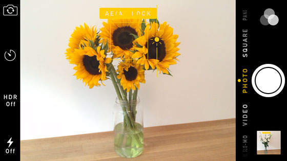 10 Tips For Taking Amazing iPhone Photos In The Sun