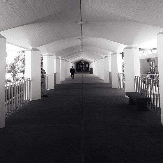 30 Stunning iPhone Photos That Show Contrast