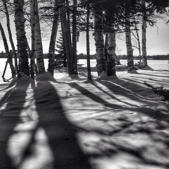 30 Stunning iPhone Photos That Show Contrast