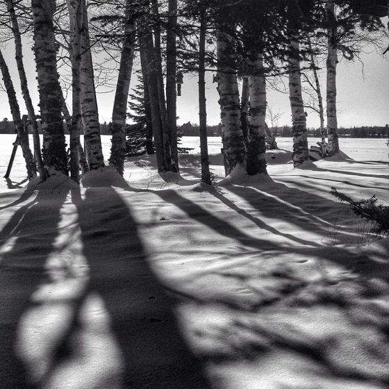 30 Stunning iPhone Photos That Show Contrast