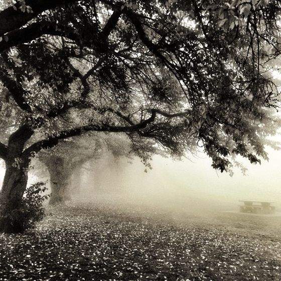 30 Stunning iPhone Photos That Show Contrast