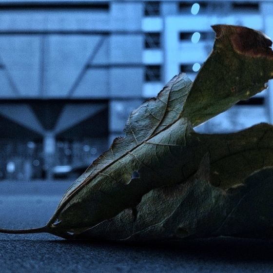 30 Stunning iPhone Photos That Show Contrast