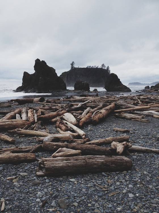 How Kevin Russ Takes Beautiful Nature & Wildlife Photos With iPhone